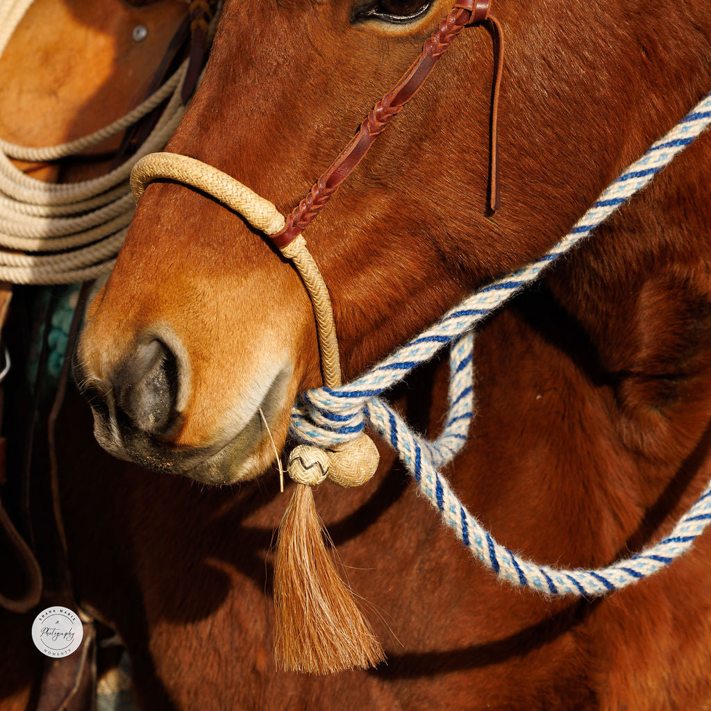 Bosals & Bosalitas – Diamond G Custom Leather & Rawhide