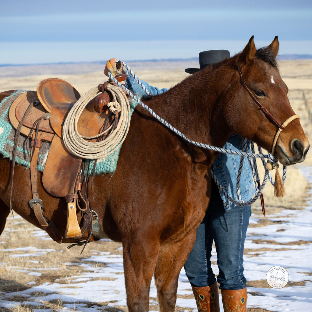 Working Bosals – Diamond G Custom Leather & Rawhide